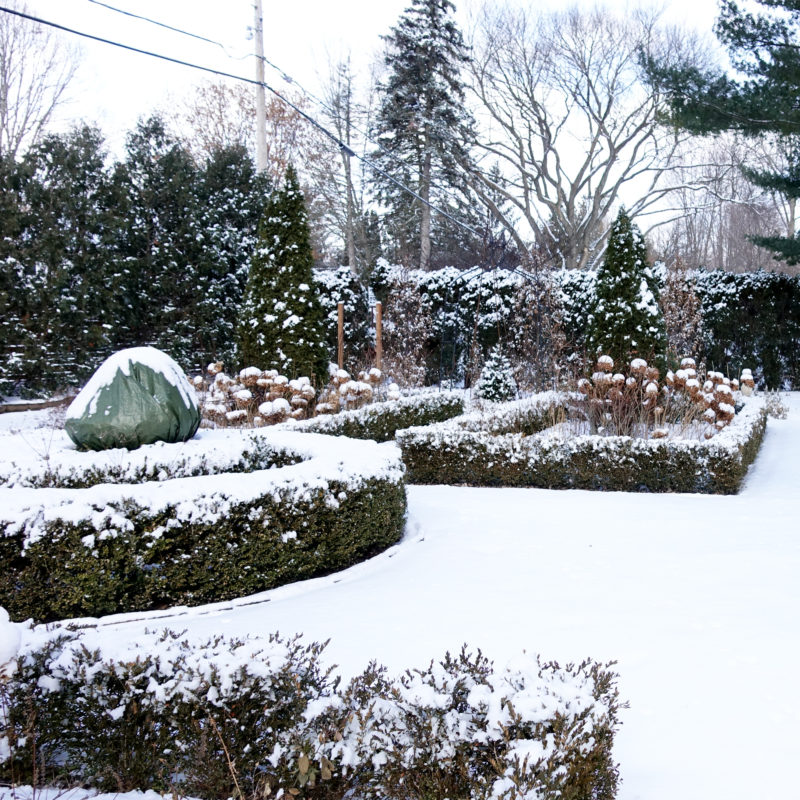 The January 2019 Garden - Garden Moxie