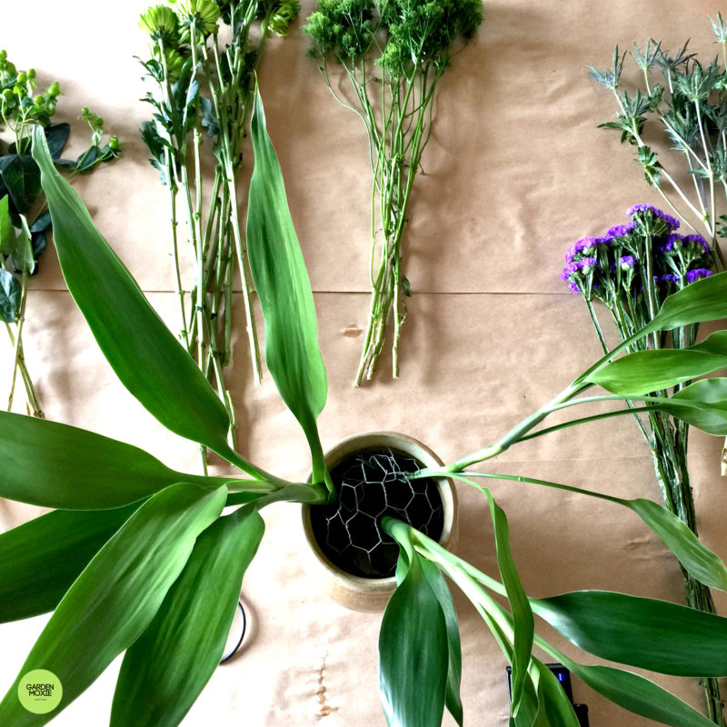 How To Make Beautiful Cyanotypes - Garden Moxie