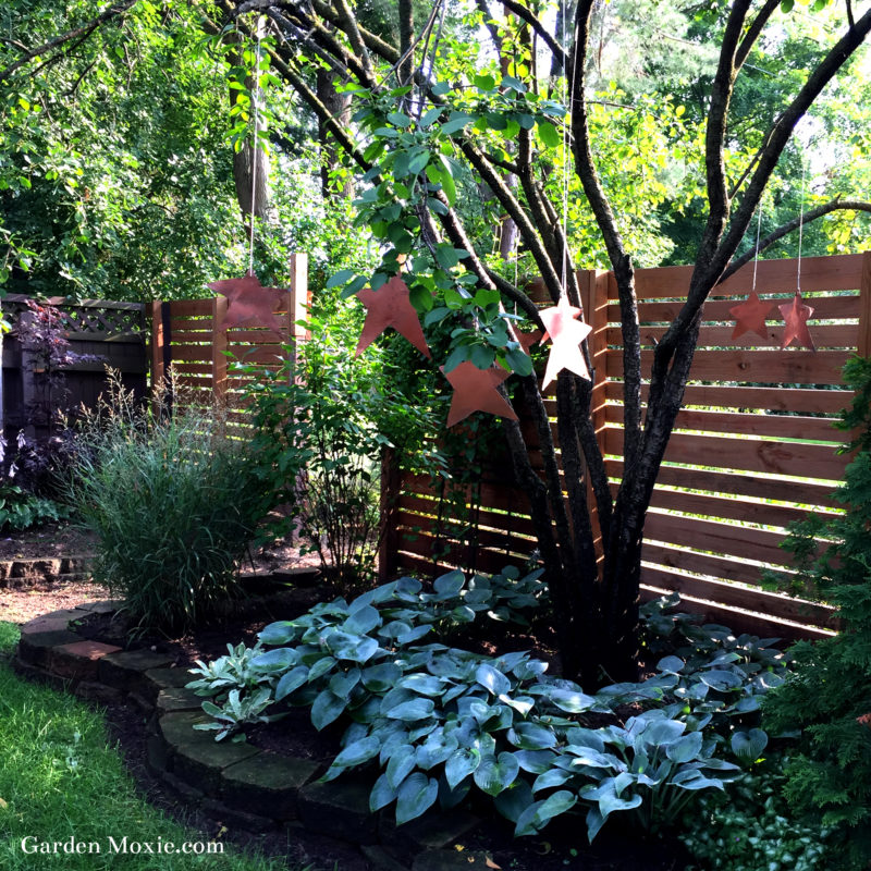 How To Make Beautiful Cyanotypes - Garden Moxie