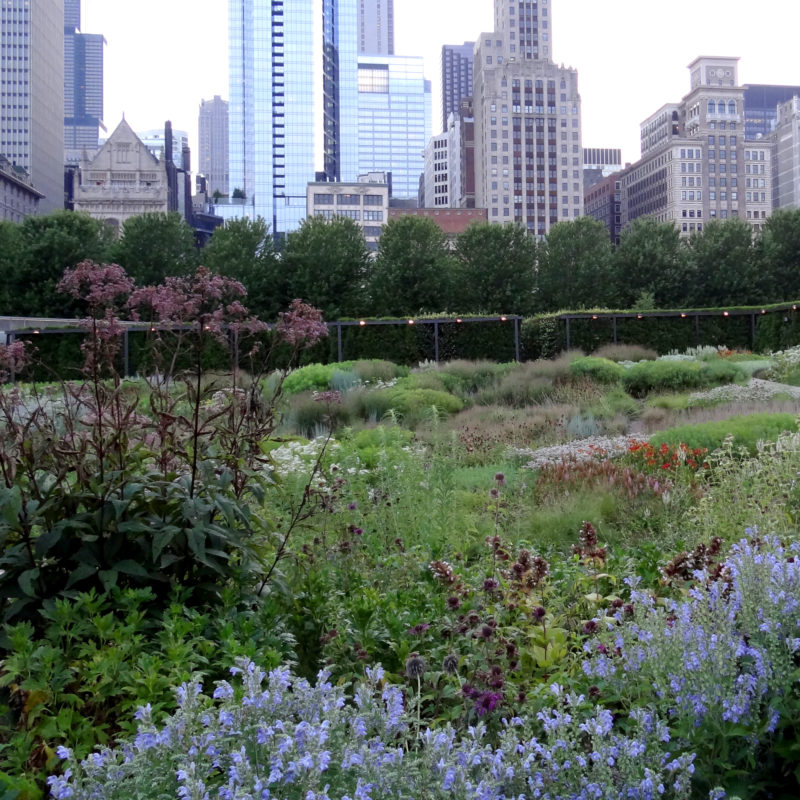 Piet Oudolf is Designing a Garden in Detroit - Garden Moxie