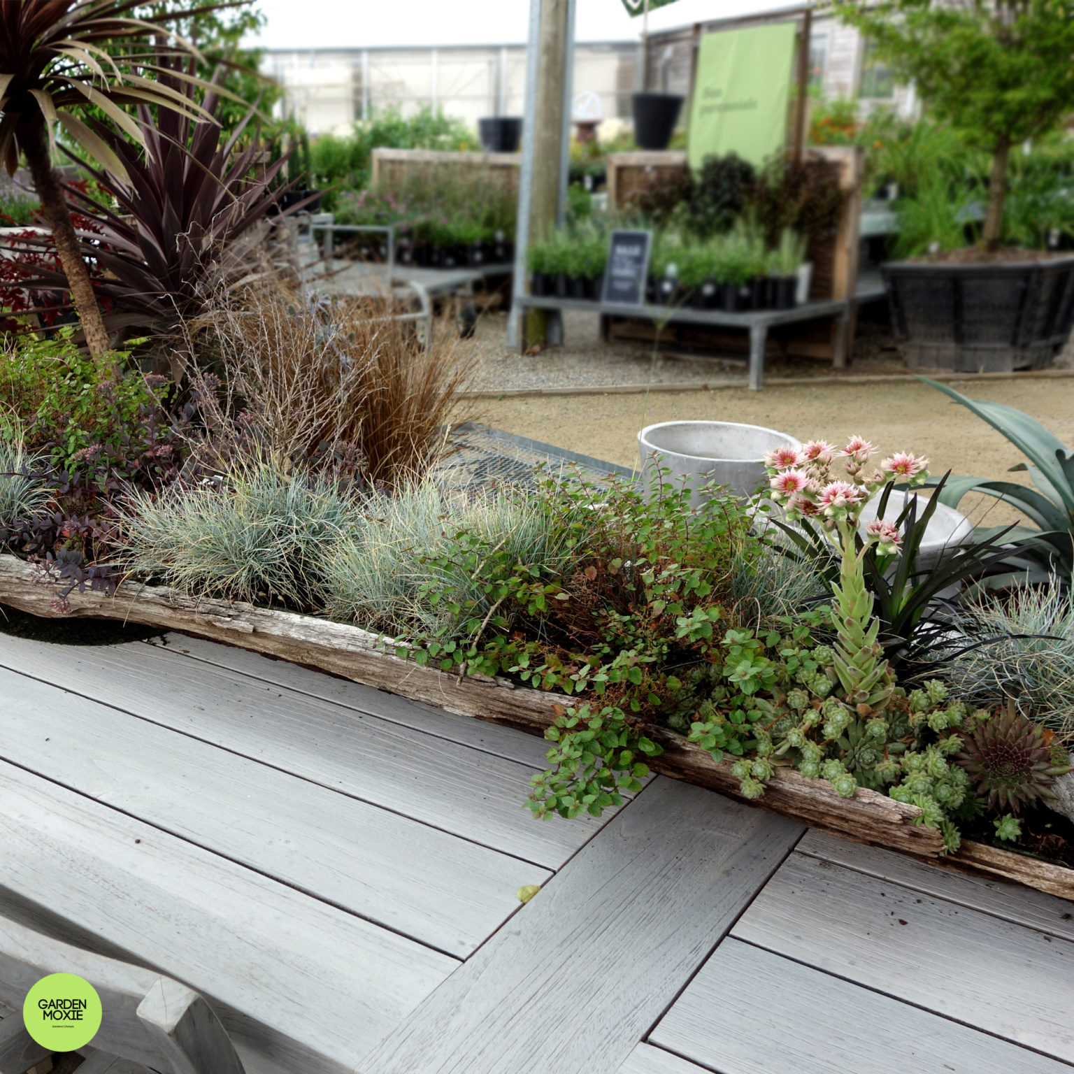 5 Design Ideas You Can Steal from Terrain - Garden Moxie
