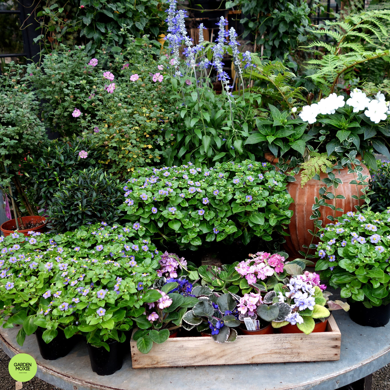 5 Design Ideas You Can Steal from Terrain - Garden Moxie