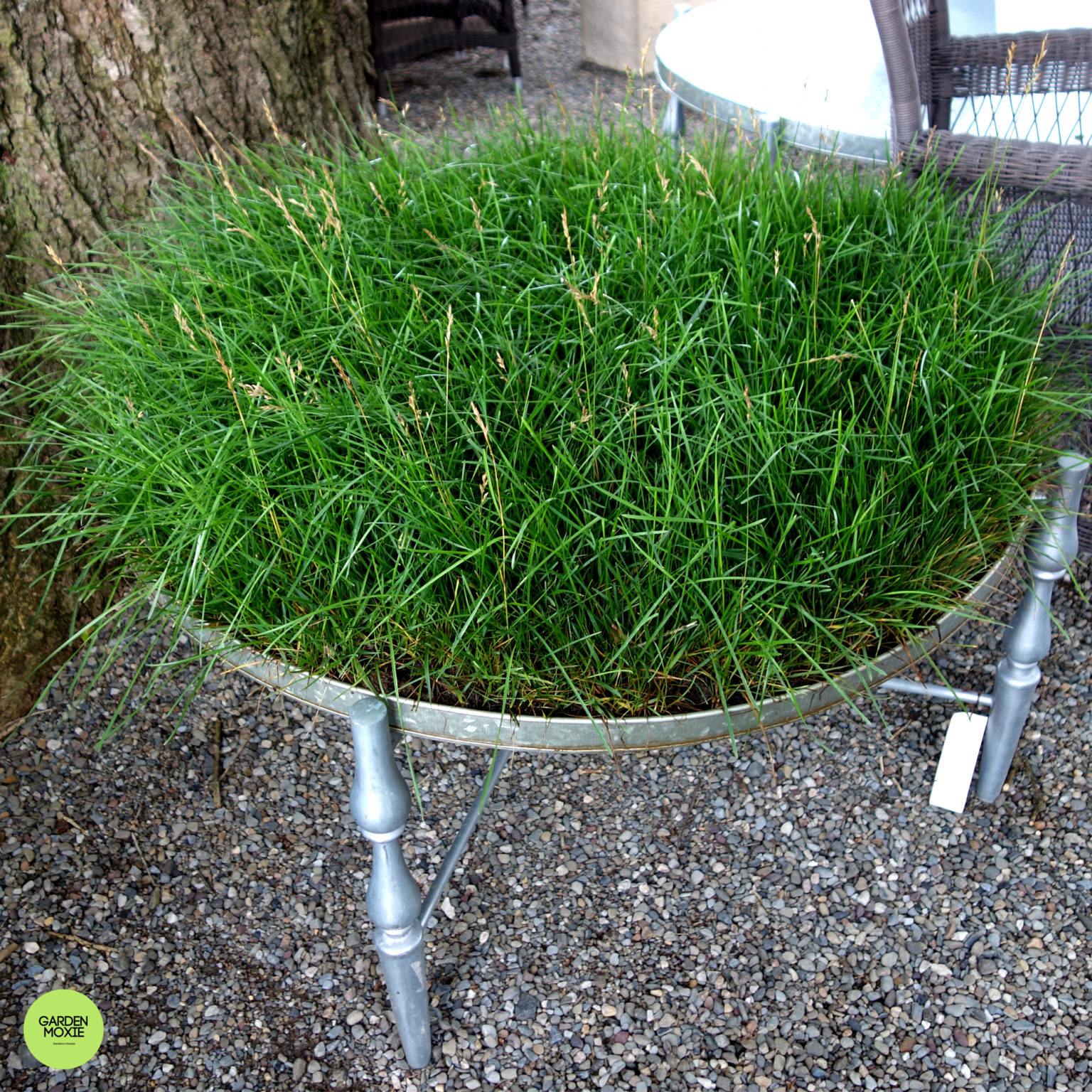 5 Design Ideas You Can Steal from Terrain - Garden Moxie