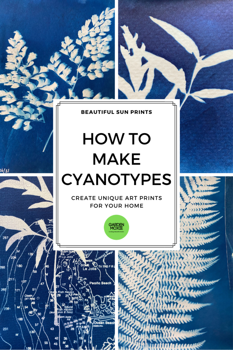 How To Make Beautiful Cyanotypes - Garden Moxie