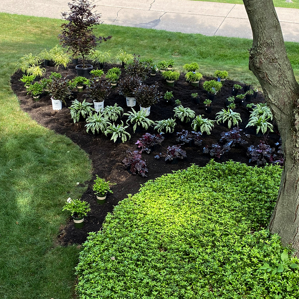Creating an Island Border - Garden Moxie