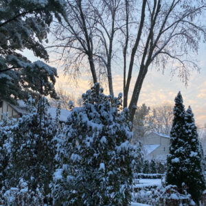 How To Install a Beautiful Vertical Garden - Garden Moxie